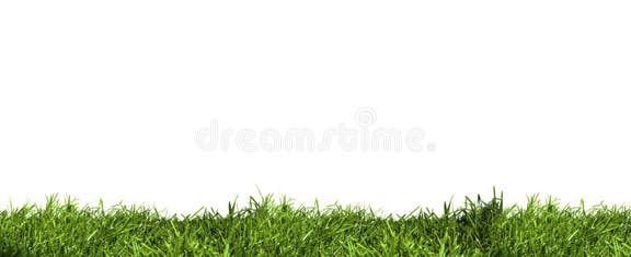Grass Layer stock image. Image of field, spring, texture - 15167393