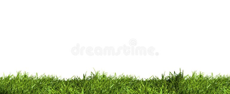 Grass Layer stock image. Image of field, spring, texture - 15167393