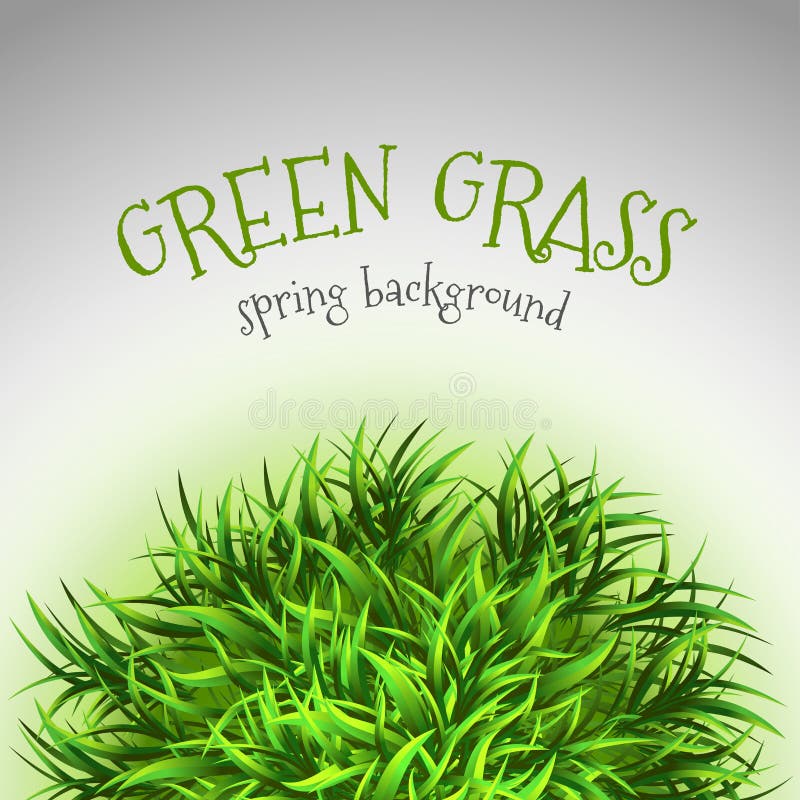 Grass Layout stock illustration. Illustration of brochure - 50281390
