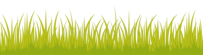 Grass Line Seamless with Flowers Isolated on White Background Us Stock ...