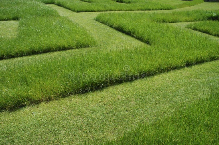 Grass maze stock photo. Image of found, artistic, flora - 865896
