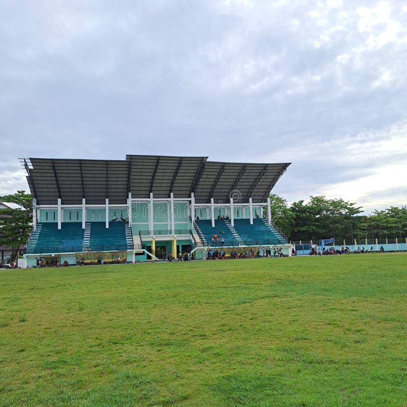 Grass on the mini stadion stock image. Image of mini - 263147343