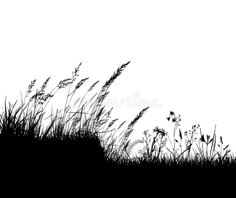 Grass Monochrome Realistic Silhouette. Vector Illustration Stock ...