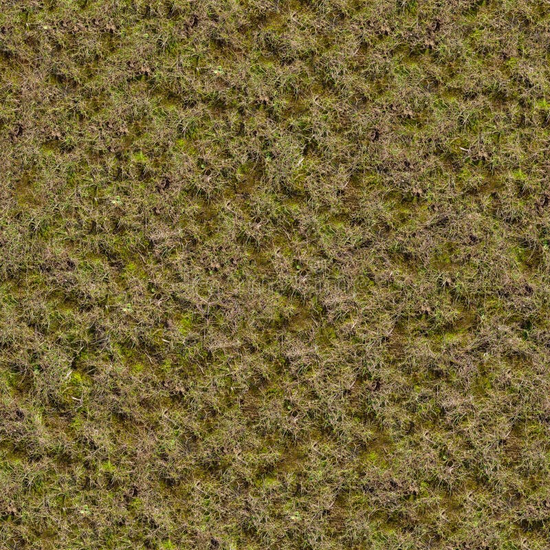 984 Grass Moss Seamless Texture Stock Photos - Free & Royalty-Free Stock Photos from Dreamstime