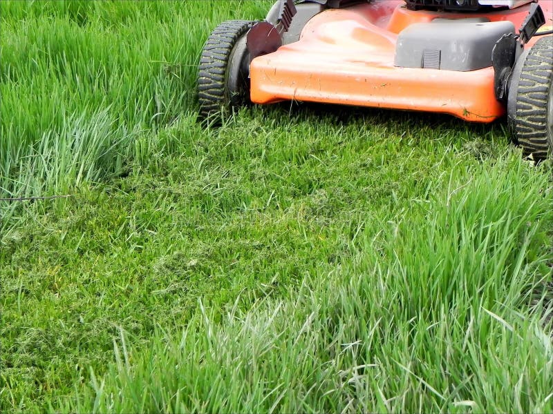 Grass mowing stock photo. Image of gardening, grass, mower - 30488936