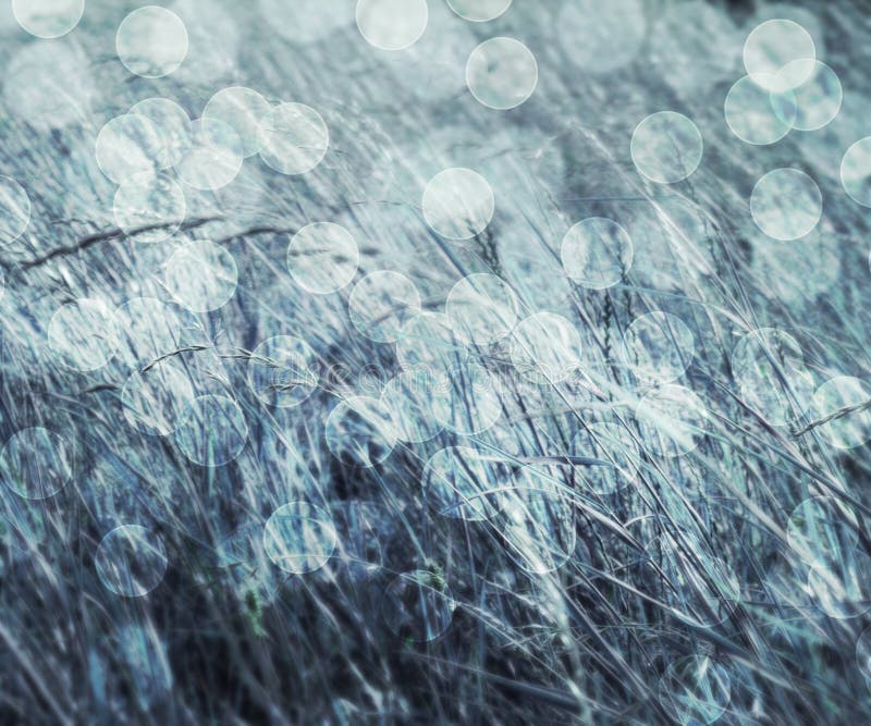 Grass Nature Abstract Background Stock Image - Image of herbs, design ...