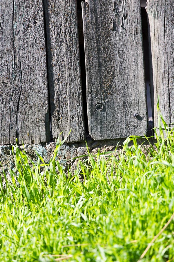 Grass near the wall stock photo. Image of rough, outdoor - 101375298