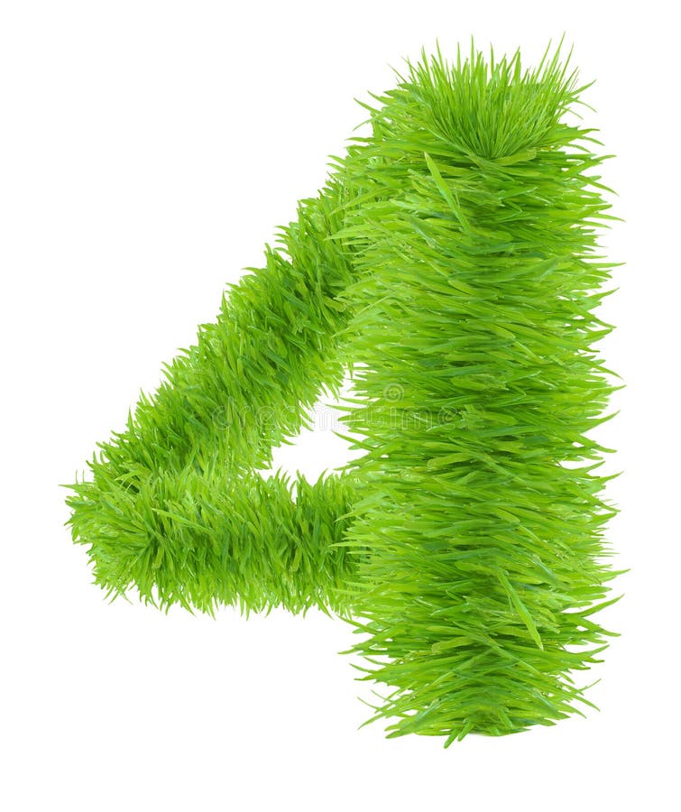A Grass Number Four Isolated on a White Background Stock Illustration ...