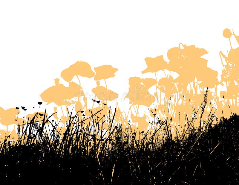 Grass with Orange Poppy Flowers.Vector Stock Vector - Illustration of ...