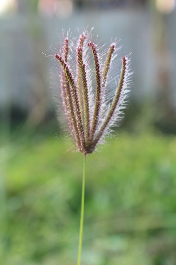 Palet Pales Stock Photos - Free & Royalty-Free Stock Photos from Dreamstime