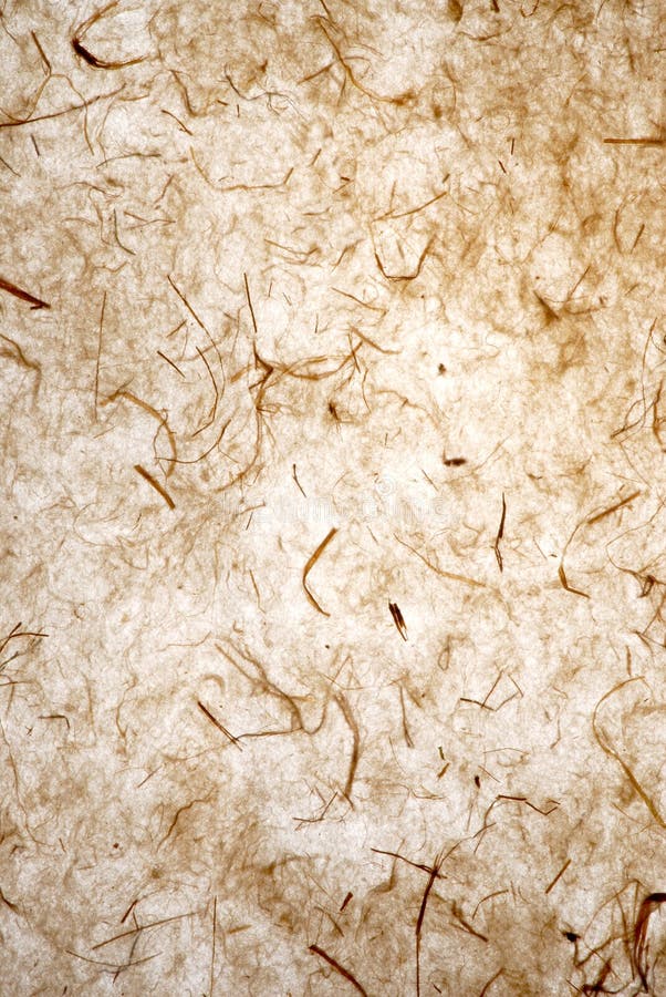 Grass paper stock photo. Image of noise, layer, abstract - 936156