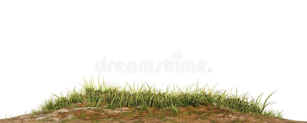 Grass Patch Isolated on White for Architecture Design or Othe Use ...