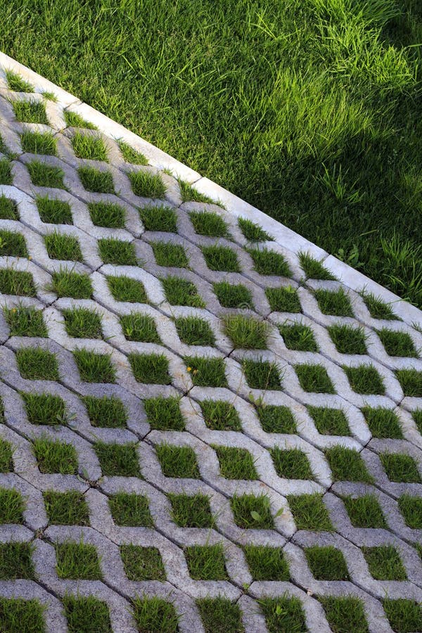 Grass path stock photo. Image of grassy, grey, concrete - 19310888