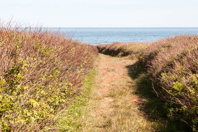 Grass Path stock image. Image of water, canada, edward - 27840221