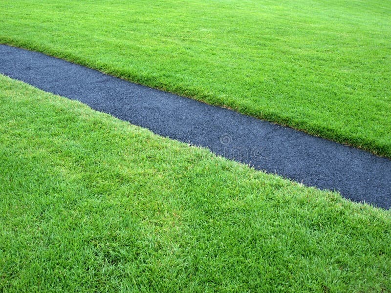Grass with path stock photo. Image of background, black - 29691074