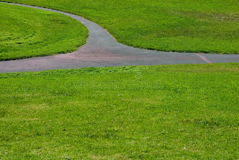 Grass Path #3 stock image. Image of choice, park, destiney - 449895