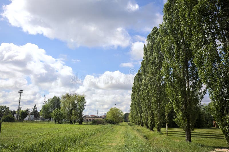Grass Path Bordered by a Trench Stock Photo - Image of environment ...