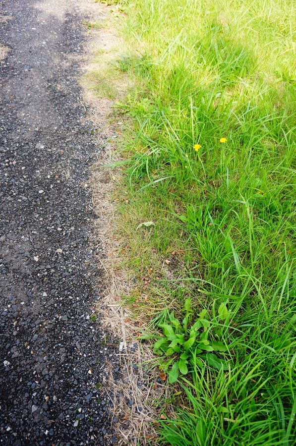 Grass and path stock photo. Image of path, plant, grass - 44460122