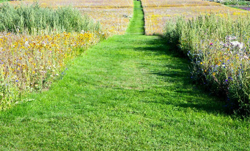 Grass path stock photo. Image of outdoors, great, countryside - 62413520