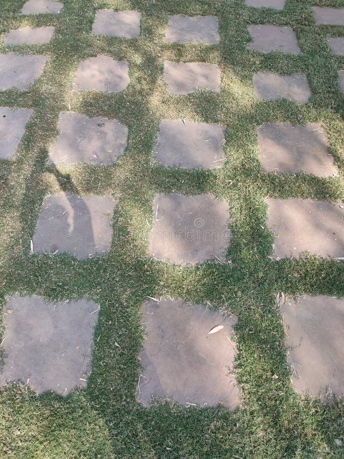 Grass and path texture stock photo. Image of stonetexture - 168317836