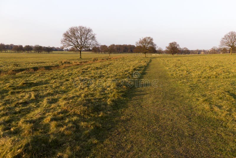 Grass pathway in a field stock photo. Image of park, field - 68591144