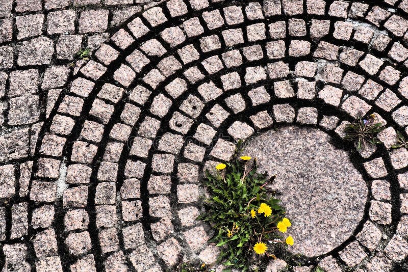 Grass, Pattern, Cobblestone, Flower Picture. Image: 136625466