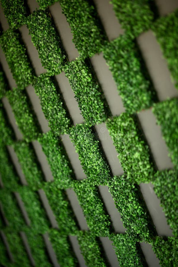 Grass squares stock photo. Image of yard, roll, green - 91664148