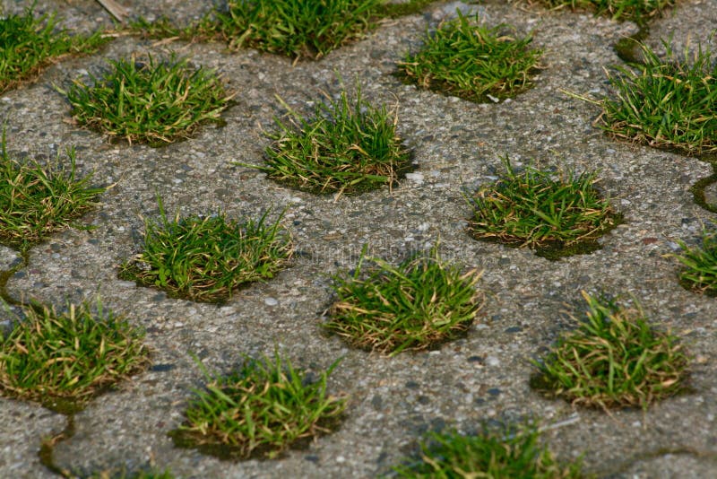 Grass Paving in Parking Lot Stock Image - Image of grass, wallpaper ...