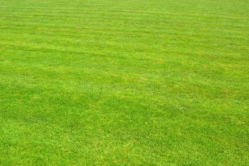 Grass Perspective Stock Photos - Download 65,952 Royalty Free Photos