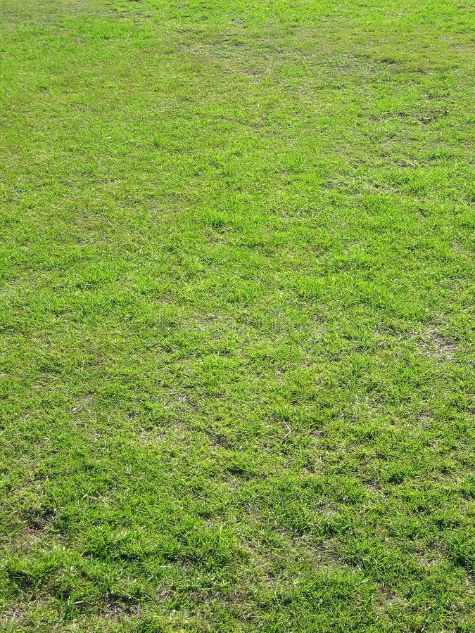 140+ Pitch texture Free Stock Photos - StockFreeImages