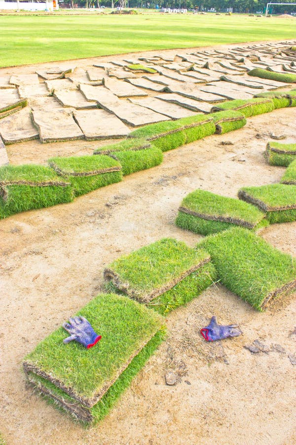 Grass-plot for New Lawn. stock image. Image of construct - 34234195