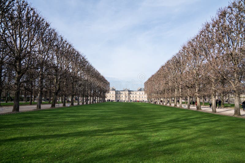 Grass promenade stock image. Image of spring, park, grass - 92564859