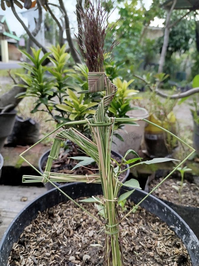 Grass puppet stock photo. Image of grass, traditional - 360145986