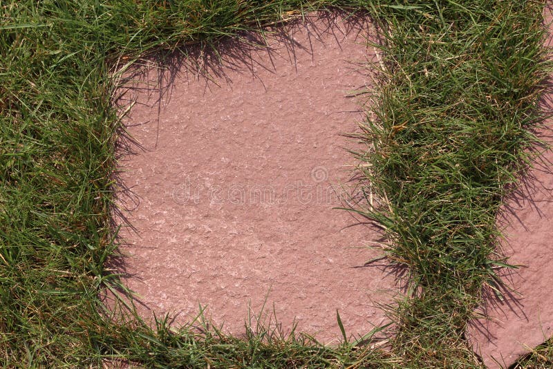 Grass between Red Tiles on the Walkway Stock Photo - Image of paving ...