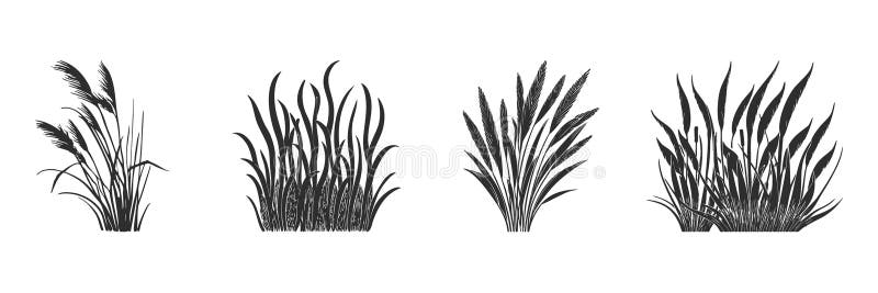 Grass and Reed Silhouettes Set. Natural Elements for Design and ...
