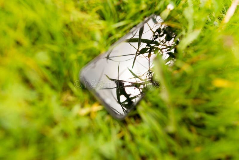 Grass in Reflection of a Cell Phone in Nature Stock Image - Image of ...