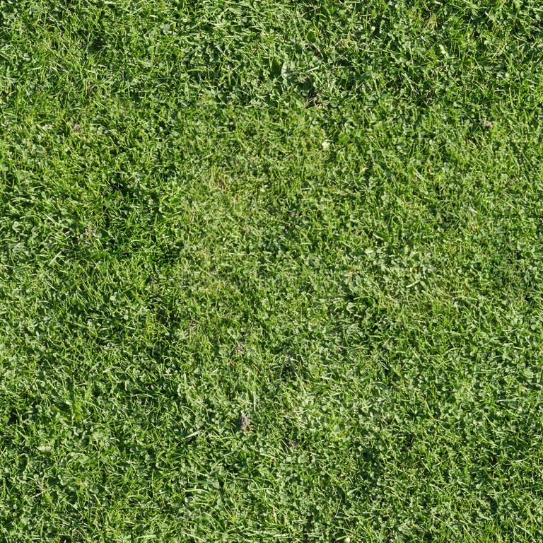 Grass repeat pattern stock photo. Image of texture, green - 89769944