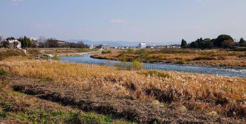 Grass with the River at Countryside in Osaka, Japan Stock Photo - Image ...