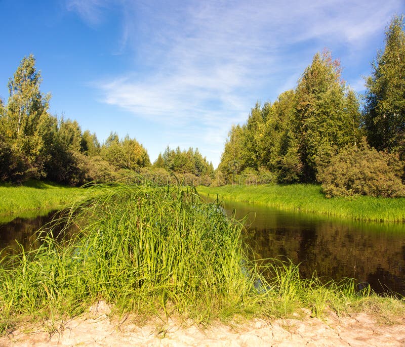Grass by the river stock image. Image of water, river - 107209887