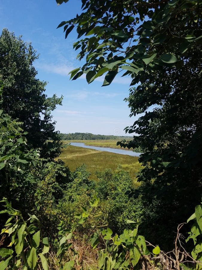 Grass with River Water and Trees Outdoor and Blue Sky Stock Photo ...
