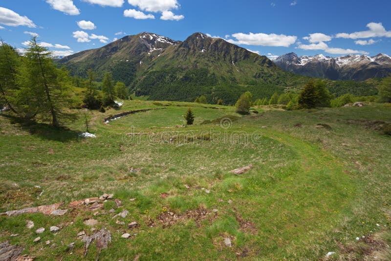 Grass road stock image. Image of lawn, mule, road, green - 19861339