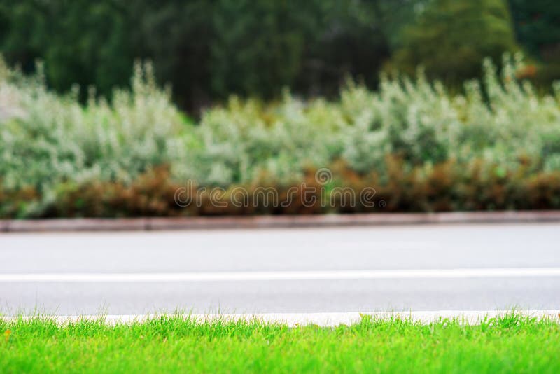 Grass Road Track Background Stock Image - Image of rich, forest: 80155963