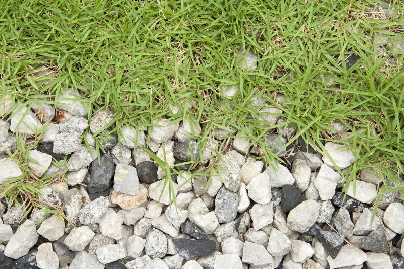 Grass and rock stock photo. Image of relaxation, pebble - 20824232