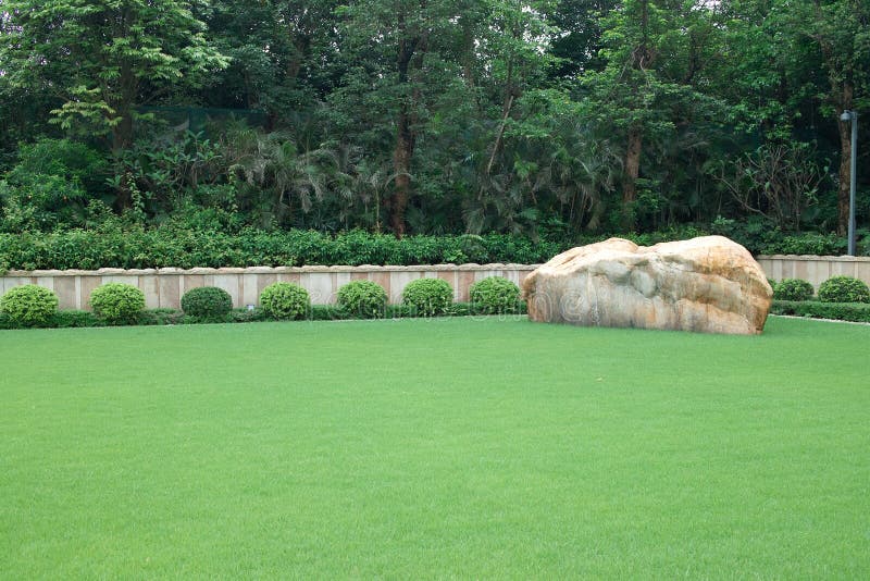 Grass and rock stock image. Image of trees, ralx, green - 24636395