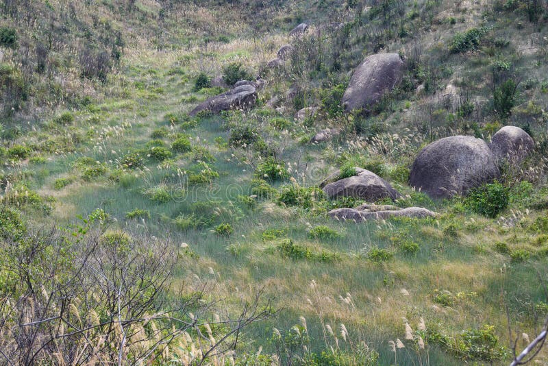 Grass and Rocks in Valley Near Castle Peak Stock Image - Image of hill ...