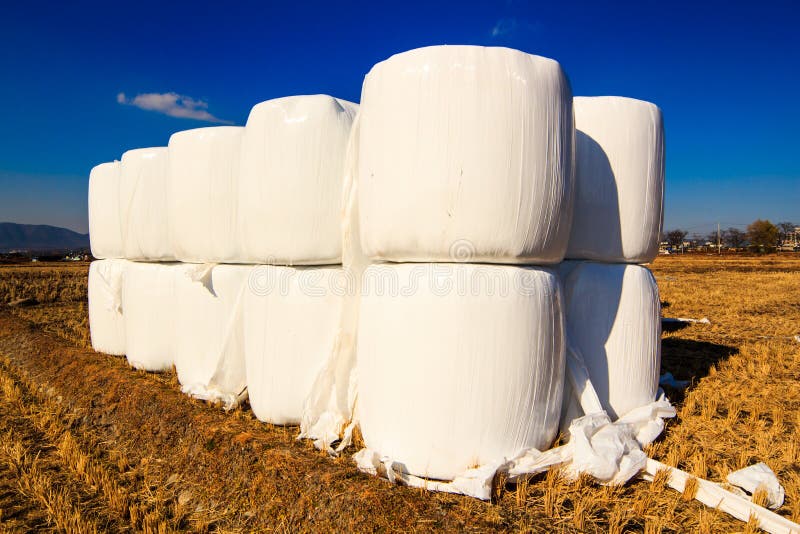 Grass roll with cover stock image. Image of view, autumn - 35631709