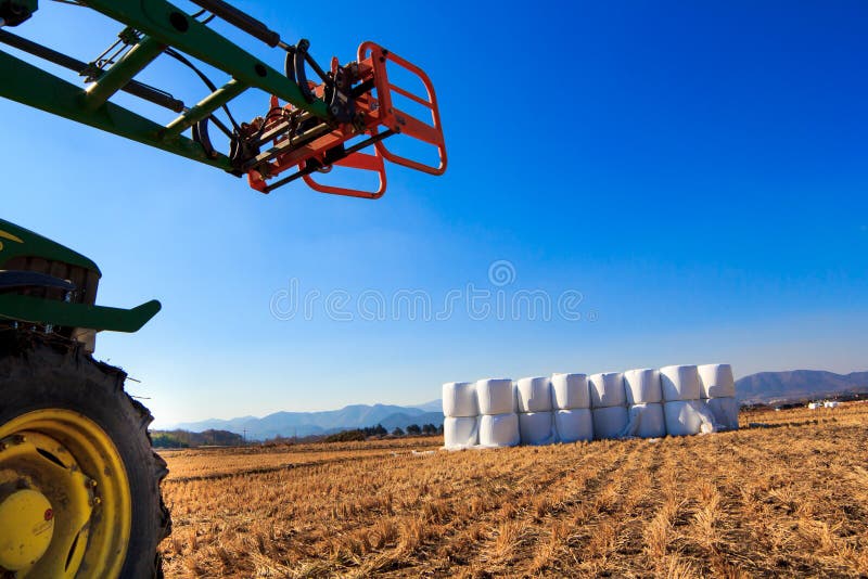Grass roll with cover stock photo. Image of autumn, agriculture - 35631714