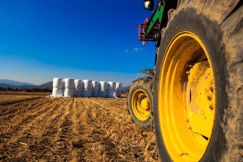 Grass roll with cover stock photo. Image of haymaking - 35631716