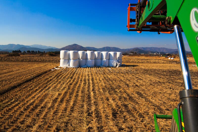 Grass roll with cover stock photo. Image of haymaking - 35631718