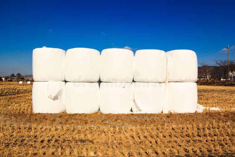 Grass roll with cover stock image. Image of grass, skies - 35631727